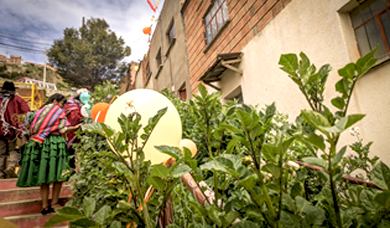 Anata* en la Ciudad: Ch’alla de los Yapus Urbanos – Proyecto Regional ...